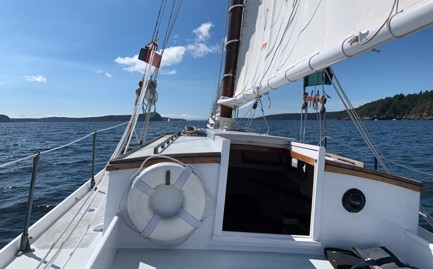 Orcas Island Whale Watch - Deer Harbor Charters