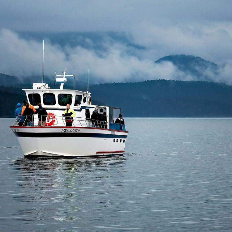 Our Vessels – Deer Harbor Charters
